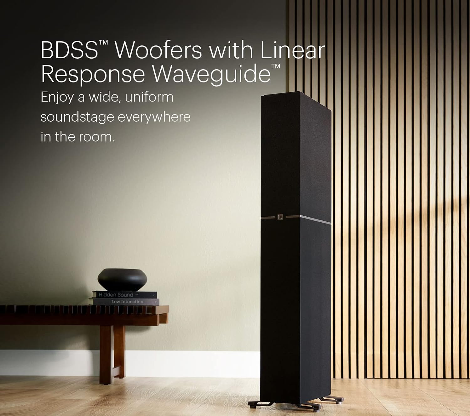 Definitive Technology Dymension DM60 Bipolar Floor-Standing Speaker wi